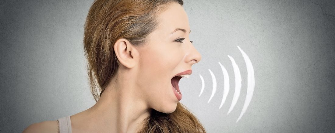 ¿Cuáles son los cinco instrumentos de viento? • Academia BNA